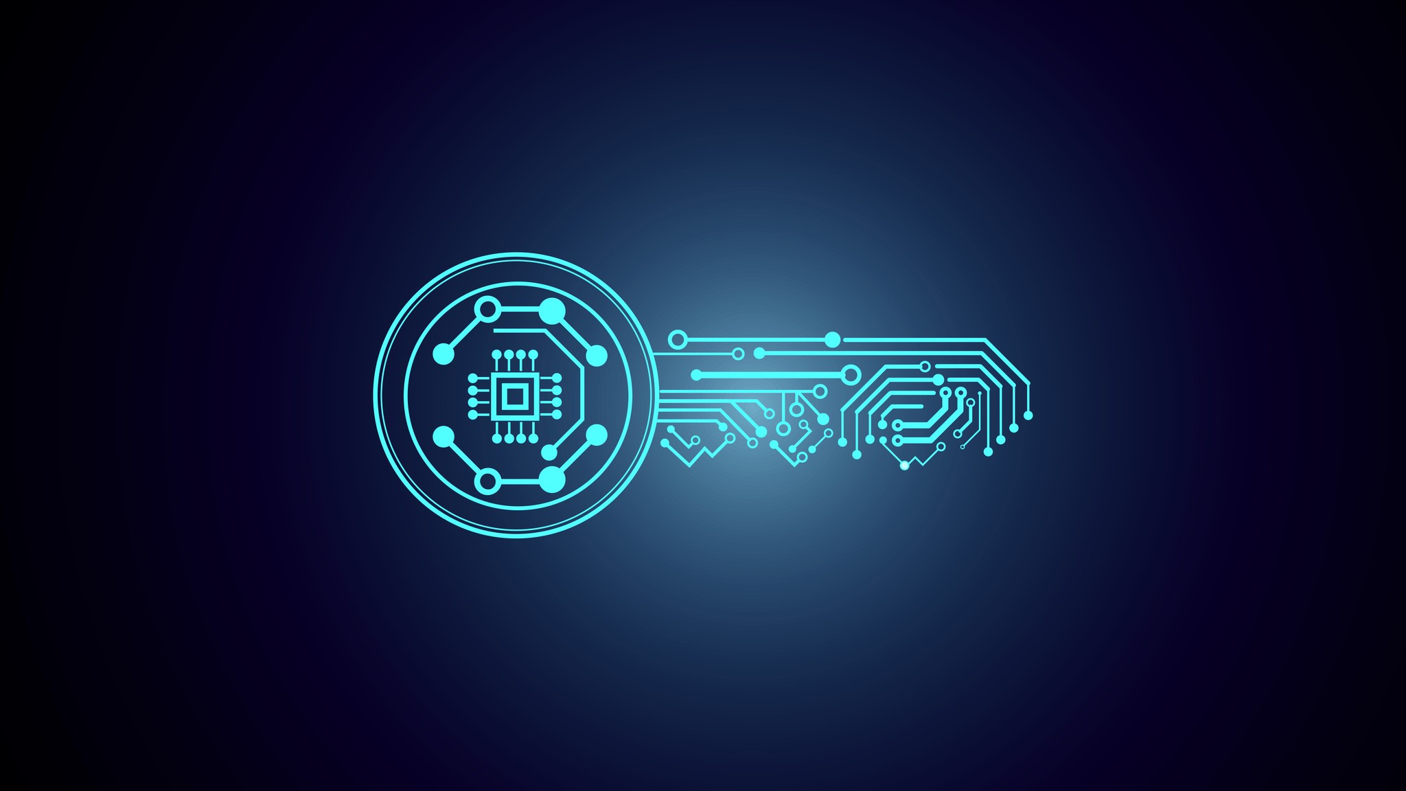 کلید رمزنگاری داده ها (Cryptographic Key) چیست؟ - ستاک فناوری ویرا کلید رمزنگاری داده ها (Cryptographic Key) چیست؟ - ستاک فناوری ویرا